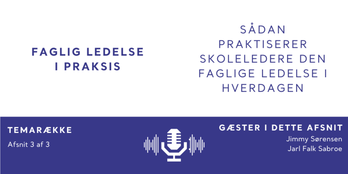 Faglig ledelse i praksis – sådan praktiserer skoleledere den faglige ...